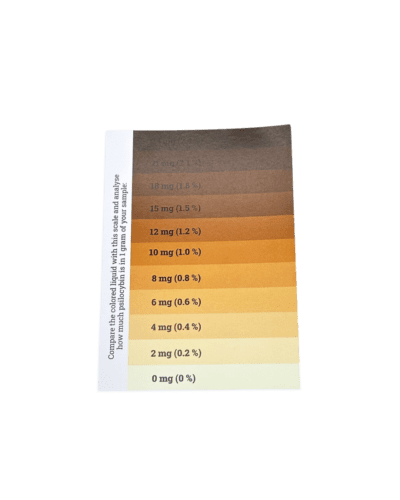 Drug Test Shrooms with Our Psilocybin Potency Test Kit