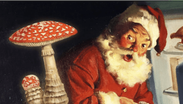 Santa Claus: A Psychedelic Shaman? Unveiling His Trippy Origins