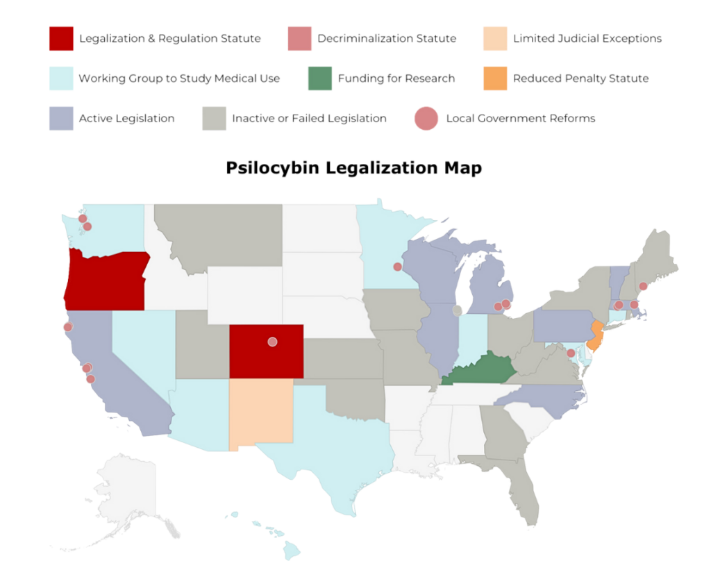 2024 Predictions for Psychedelic Therapy and Harm Reduction
