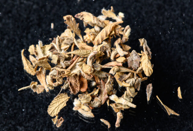 THCa vs THC — What is THCa, and How Is It Legal? - Bunk Police